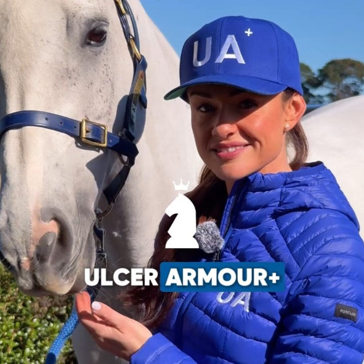 Ulcer Armour+ – High Horse Performance
